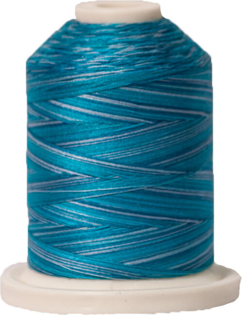 Signature Variegated Thread
