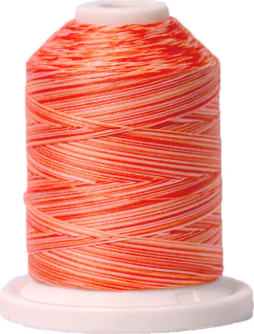 Signature Variegated Thread