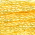 DMC 6 Strand Floss