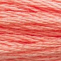 DMC 6 Strand Floss