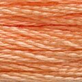 DMC 6 Strand Floss